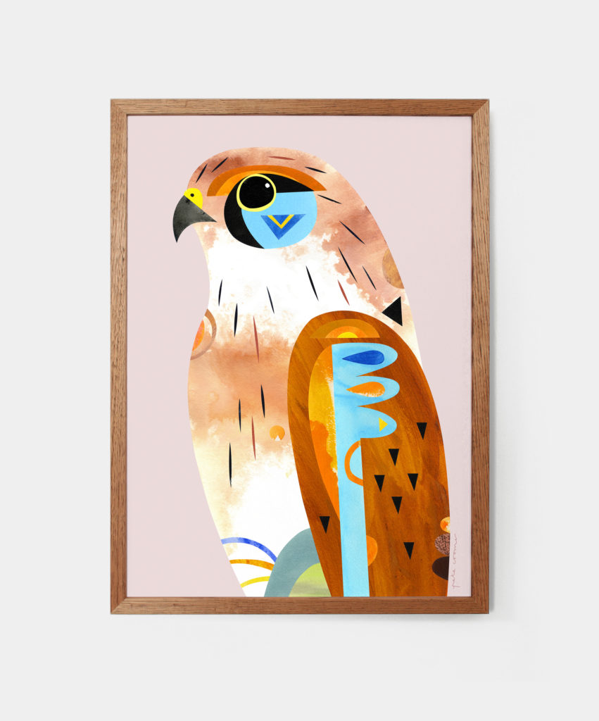 Nankeen Kestrel - Pete Cromer